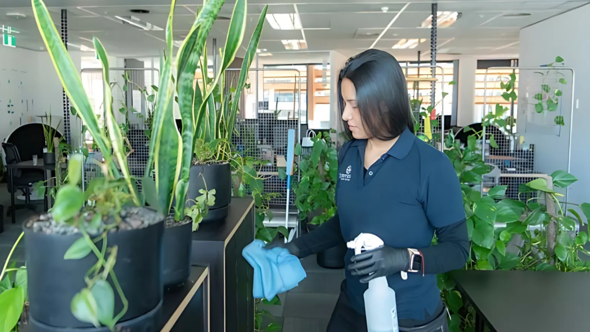 Commercial Cleaning » Sebastian Property Services